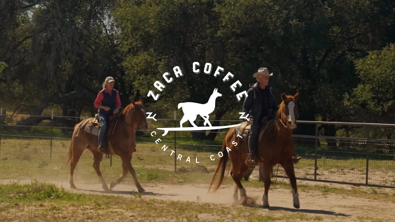 The Genesis of Zaca Coffee | Central Coast - YouTube