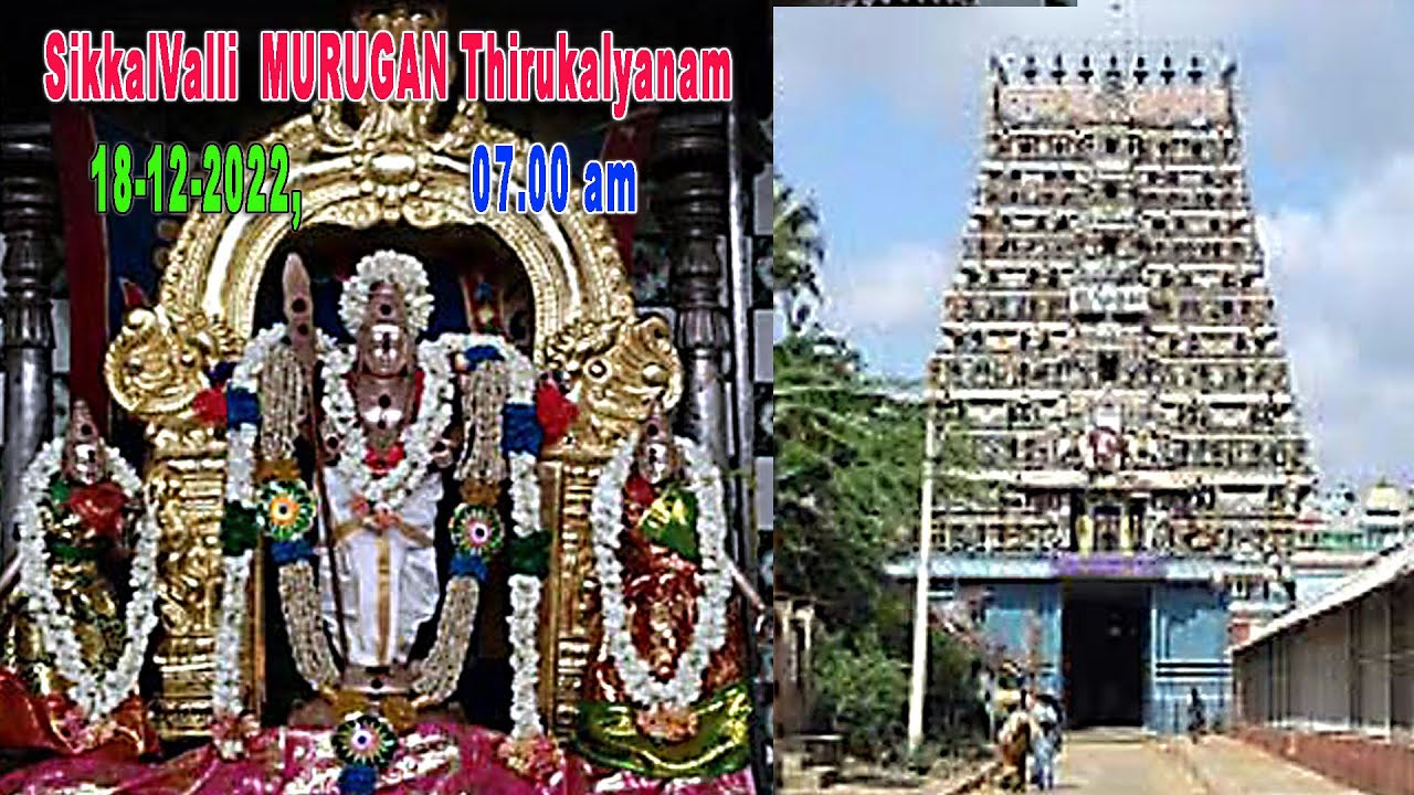 SIKKAL VALLI MURUGAN THIRUKALYANAM 2022 - YouTube