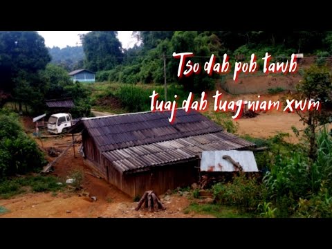 Tso dab pob tawb tuaj dab tuag niam xwm 23-9-2022 - YouTube