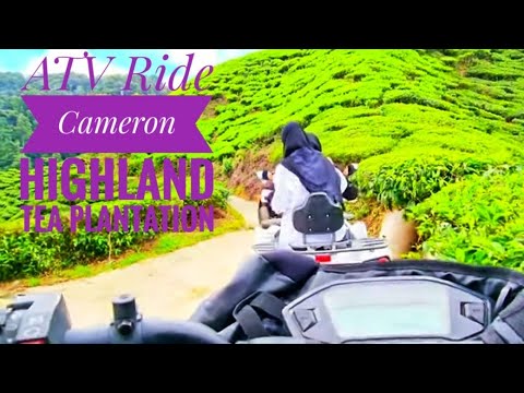 🇲🇾The Most Extreme ATV Ride in Cameron Highland- Malaysia ( you must ...