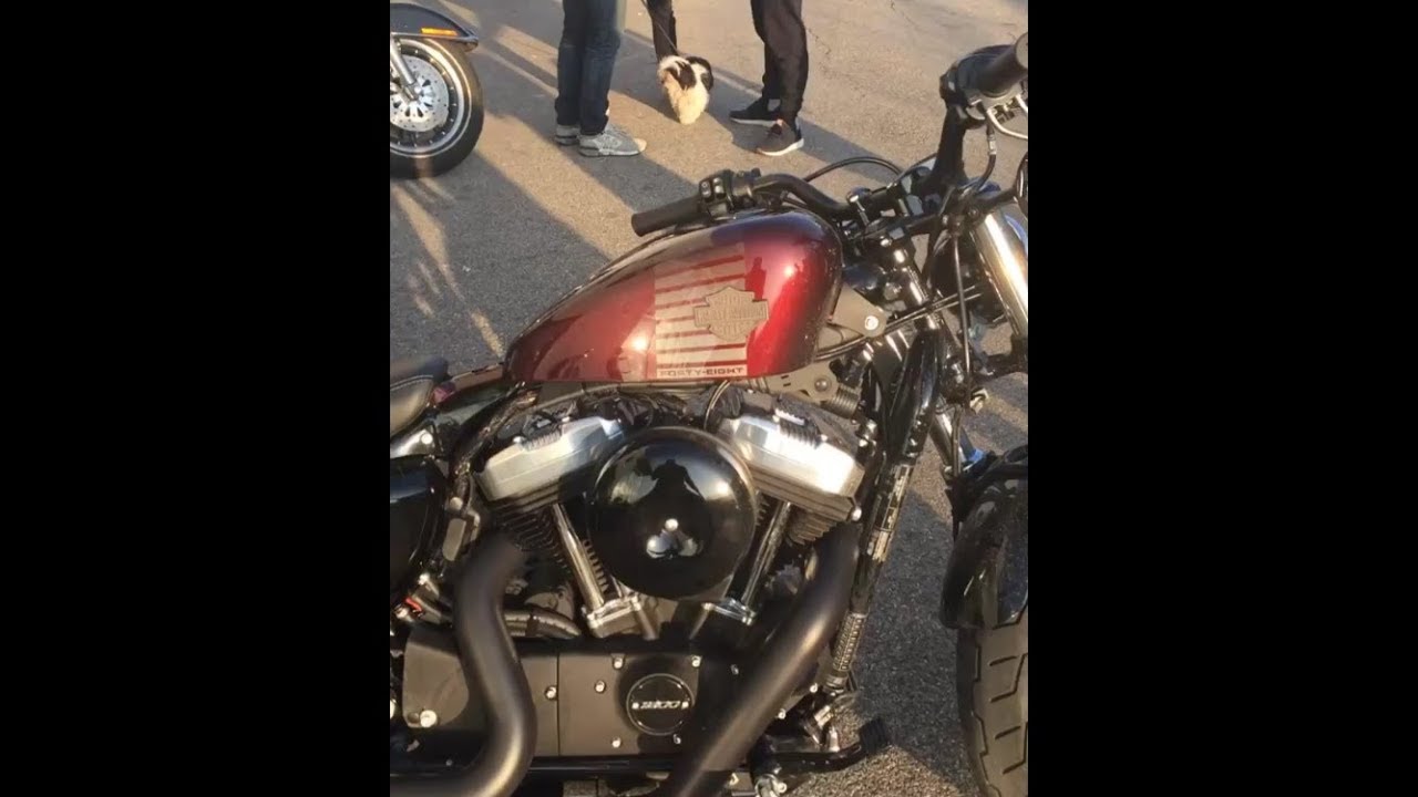 Harley Davidson 48 - SOUND 2018 - YouTube