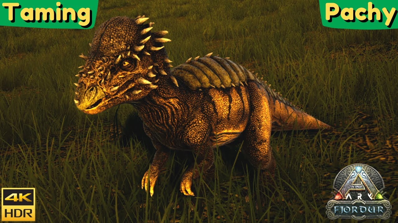 Ark - Fjordur : Taming a Pachy - YouTube