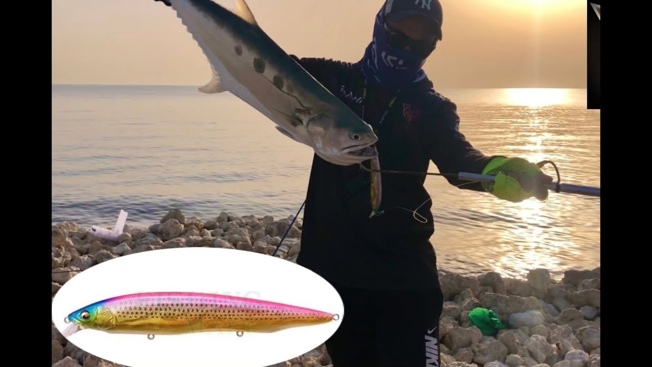 Megabass KANATA’s Quick Strike and First Big Fish for My Littma Machine ...