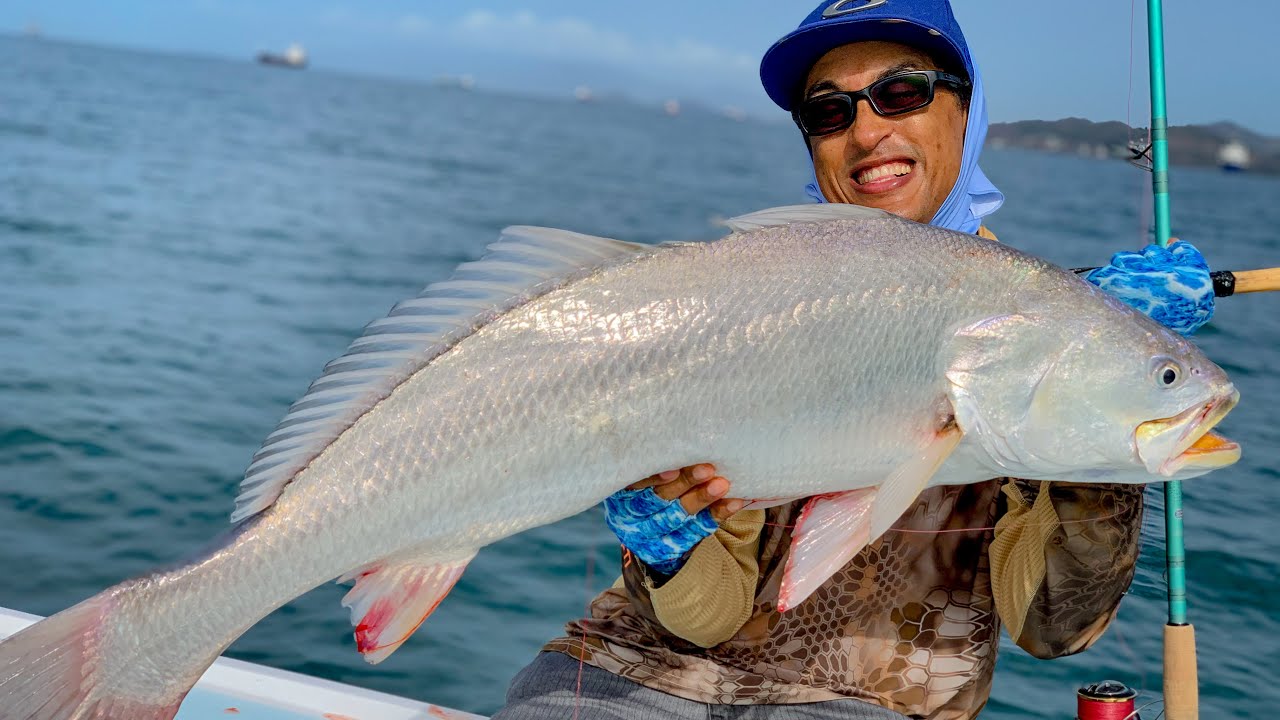 Catching food for the LOCKDOWN - YouTube