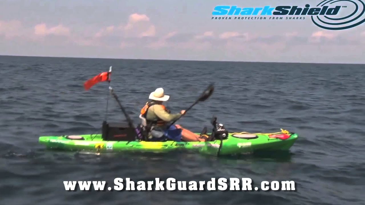 Kayak Fishing Shark Shield Shark Attack! - YouTube