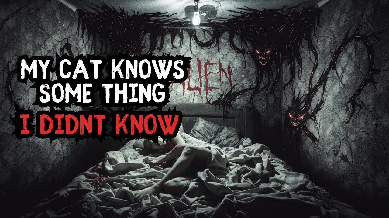 3 REAL LIFE TRUE CAT HORROR STORIES!! - YouTube