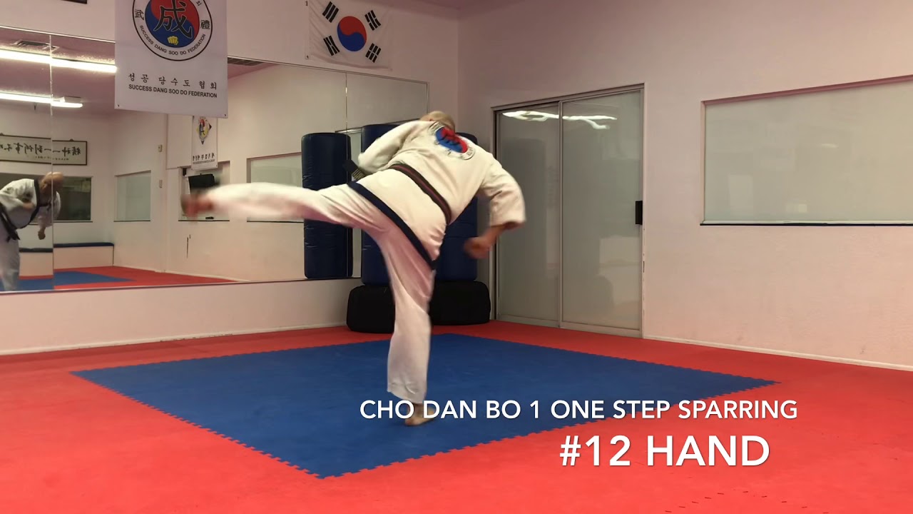 Cho Dan Bo 1 One Step Sparring - YouTube