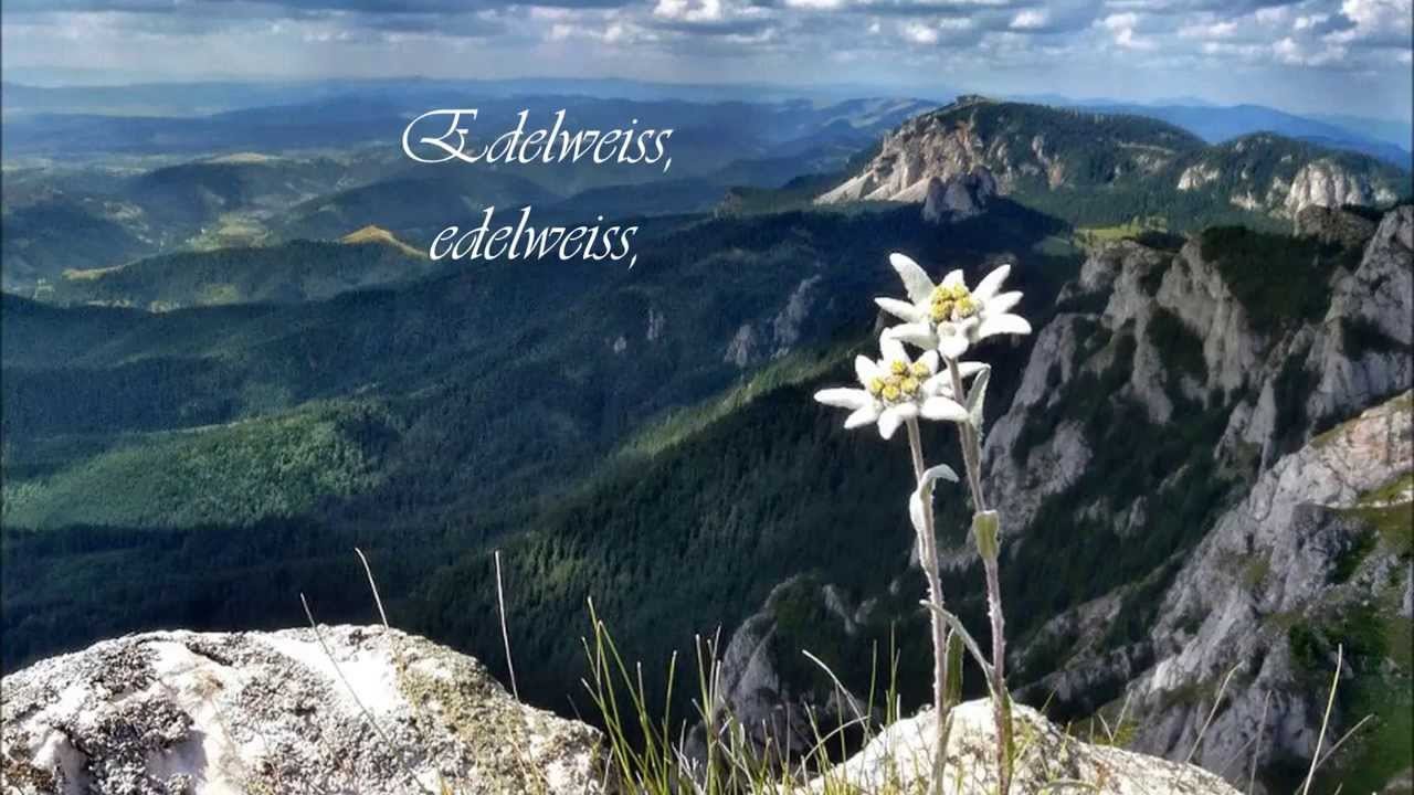 Edelweiss (The Sound Of Music cover) - YouTube