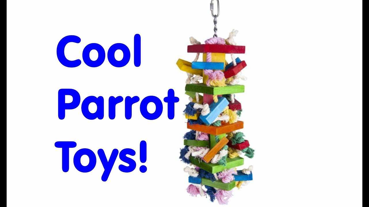 PARROT TOYS REVIEW! OnePlus Ladder & Wooden Chew Toy! - YouTube