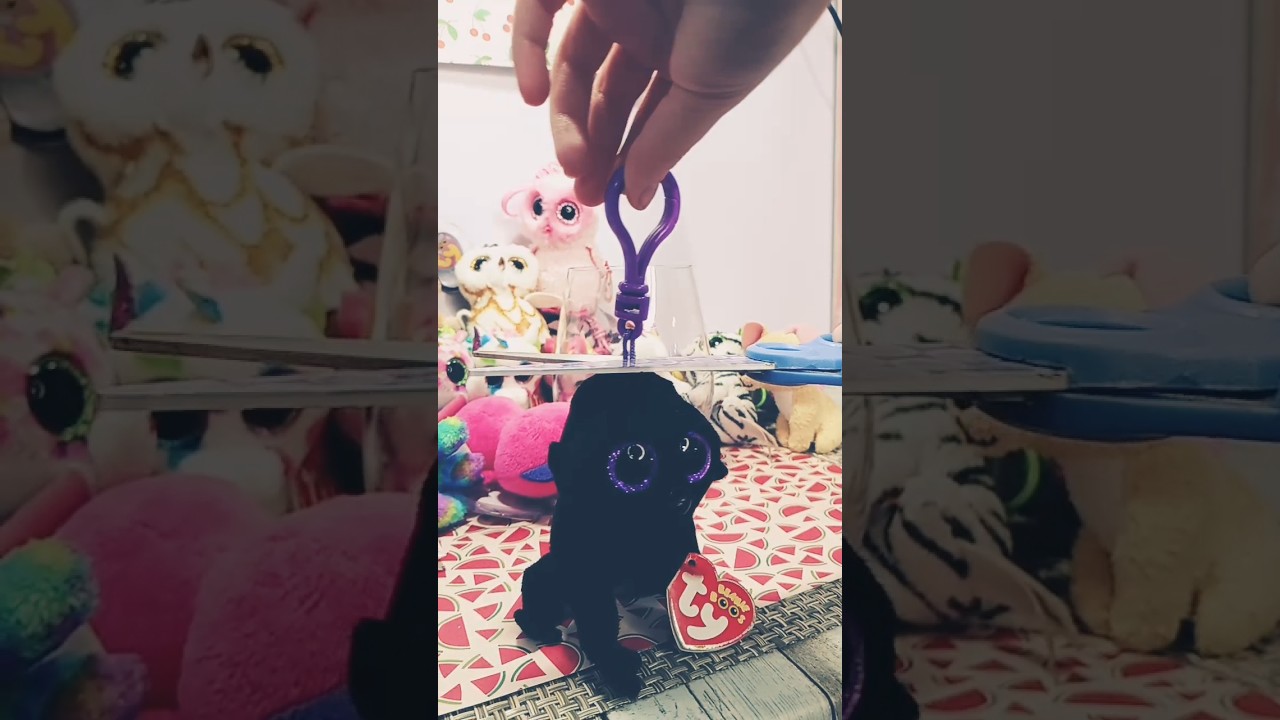 FREEDOM for our tiny beanie boos 😻🥳 #shorts #beanieboos #beaniebabies ...