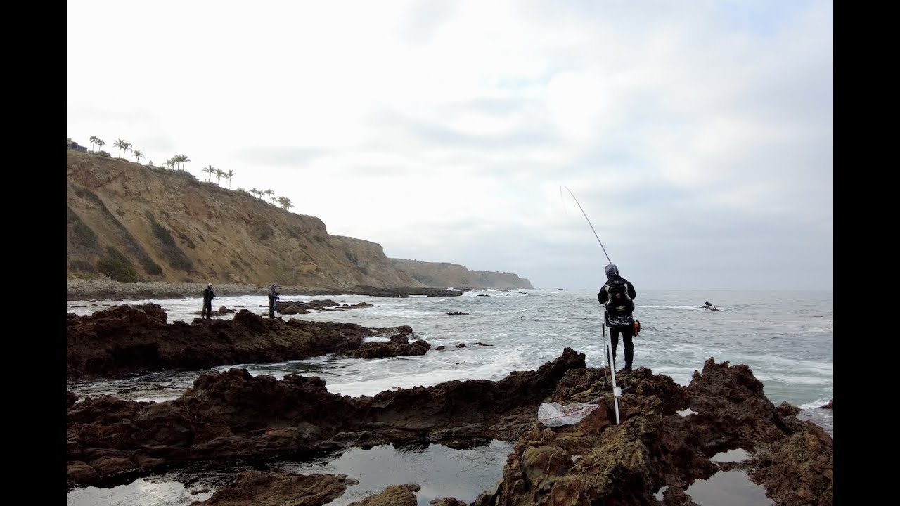 Christmas Tree Cove - Opaleye Rock Fishing - YouTube