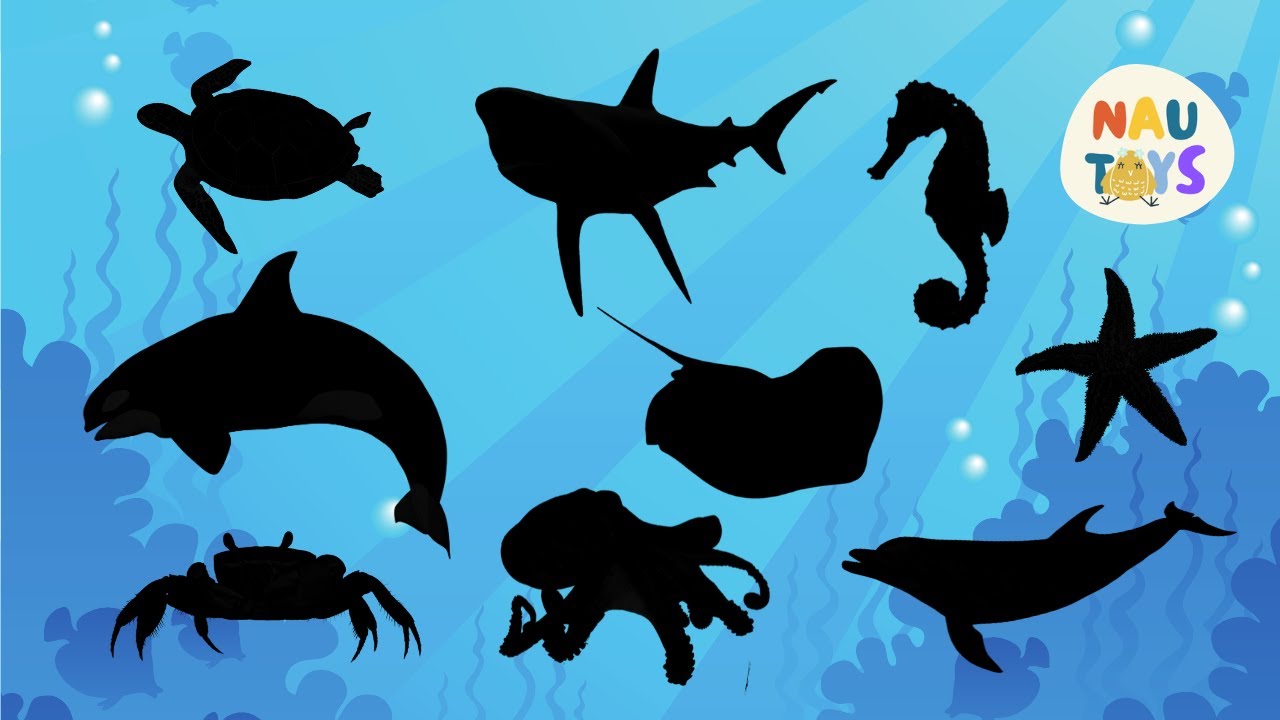 Sea Animals Puzzle - Learn Sea Animal Names and Animal Videos for Kids ...