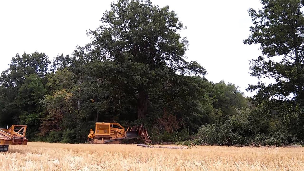 Cat D7E with Rome K/G blade clearing - YouTube