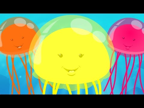 jelly bears | jelly fish finger family | nursery rhymes | kids songs | children rhymes