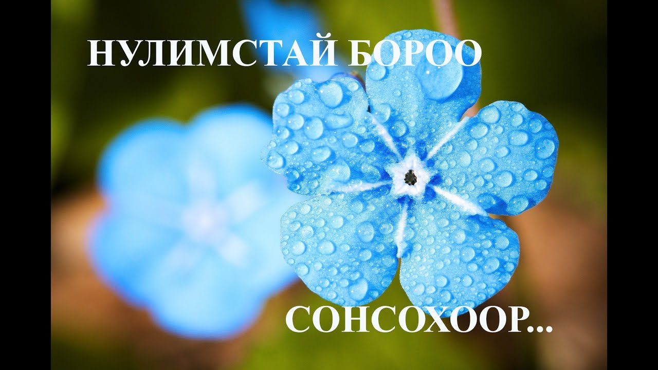 "Нулимстай бороо" өгүүллэг сонсохоор/"Nulimstai boroo" uguulleg ...