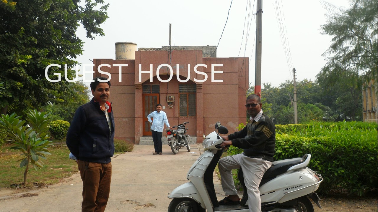 jnv (jawahar navodaya vidyalaya) ,pabra,hisar,haryana - YouTube