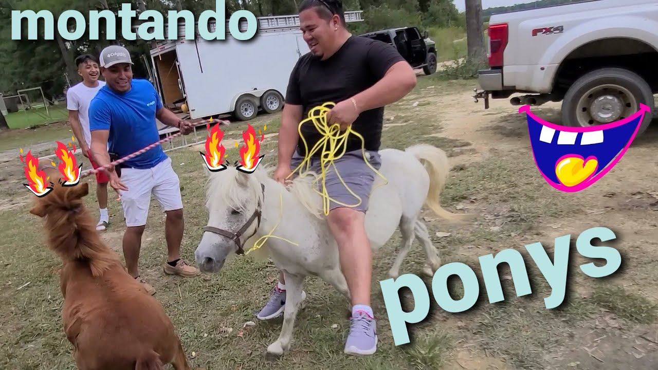 montando caballitos ponys en el rancho - YouTube