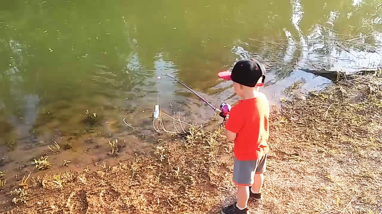 3 Year old catching fish 🐟 - YouTube