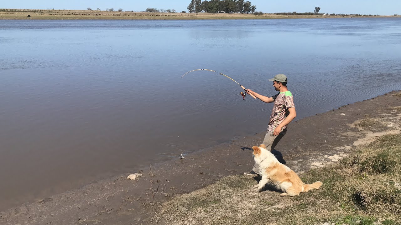 Pescamos DE TODO salieron los PATÍ,Increíble Pesca de costa en ESTE ...