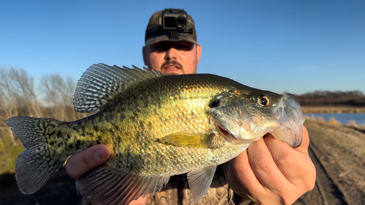 MONSTER CRAPPIE AND BASS IN 40 DEGREE WATER! - YouTube