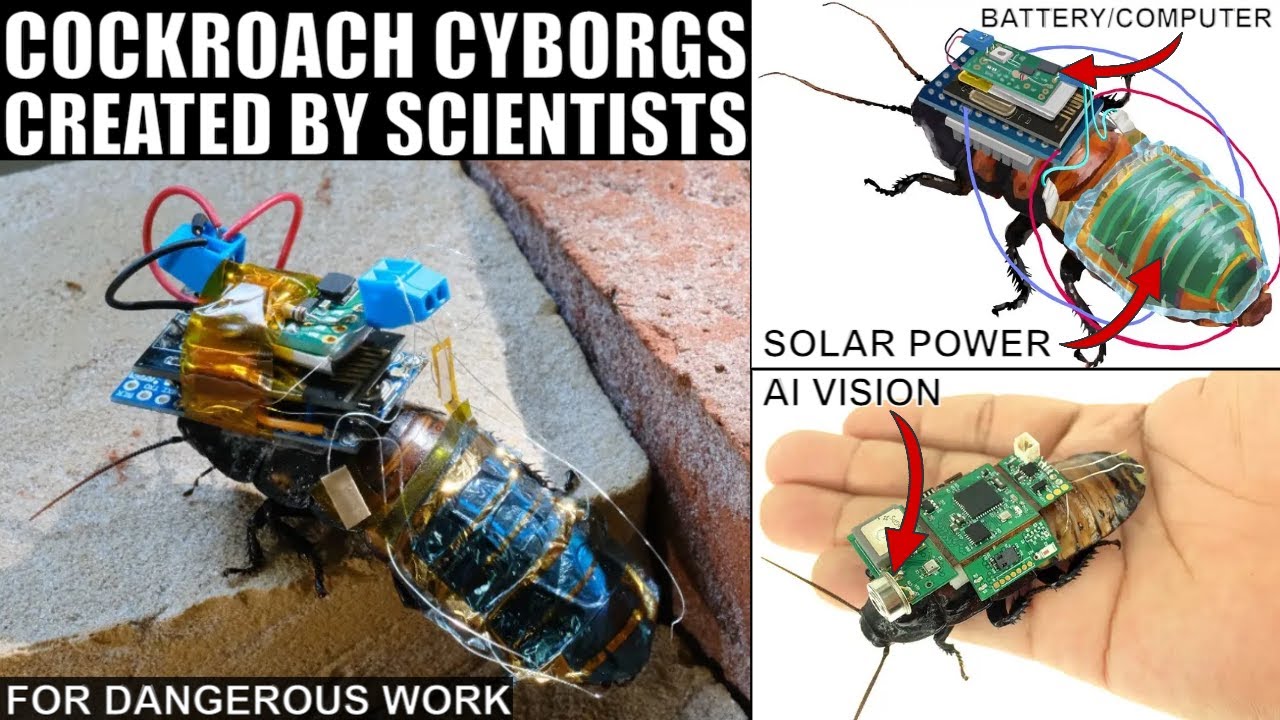 AI/Solar Powered Cyborg Cockroaches Are Now a Thing - YouTube