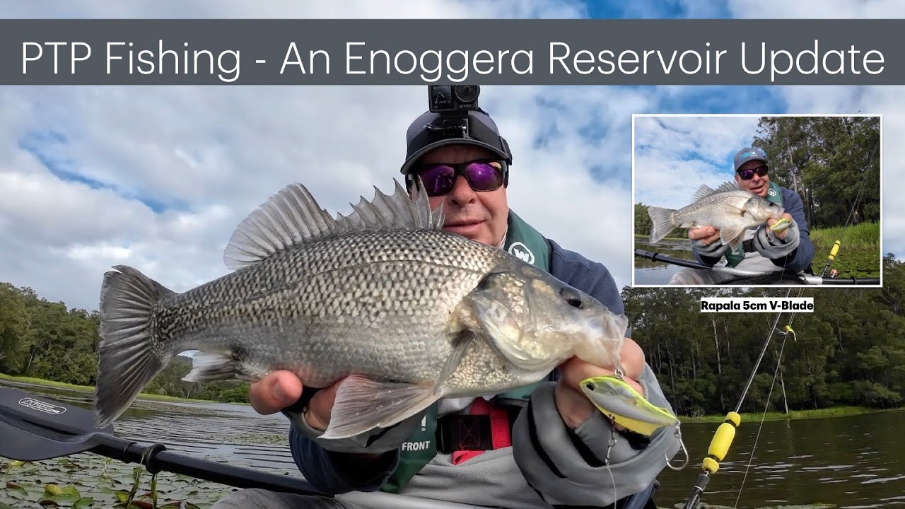 PTP Fishing - An Enoggera Reservoir Update - YouTube