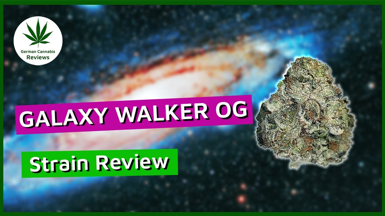 Tilray - Galaxy Walker OG - Strain Review - YouTube