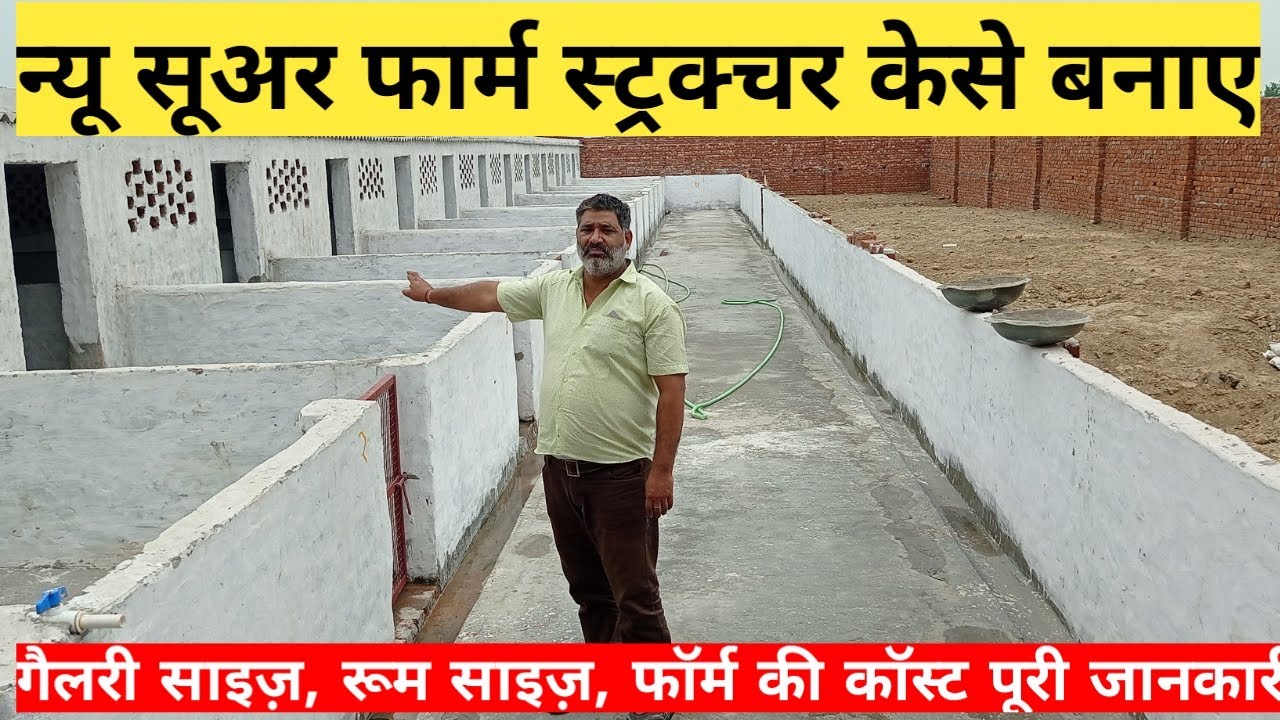 Piggery Farm Design,Pig Farm Structure kaise, pig farming in India, Pig ...