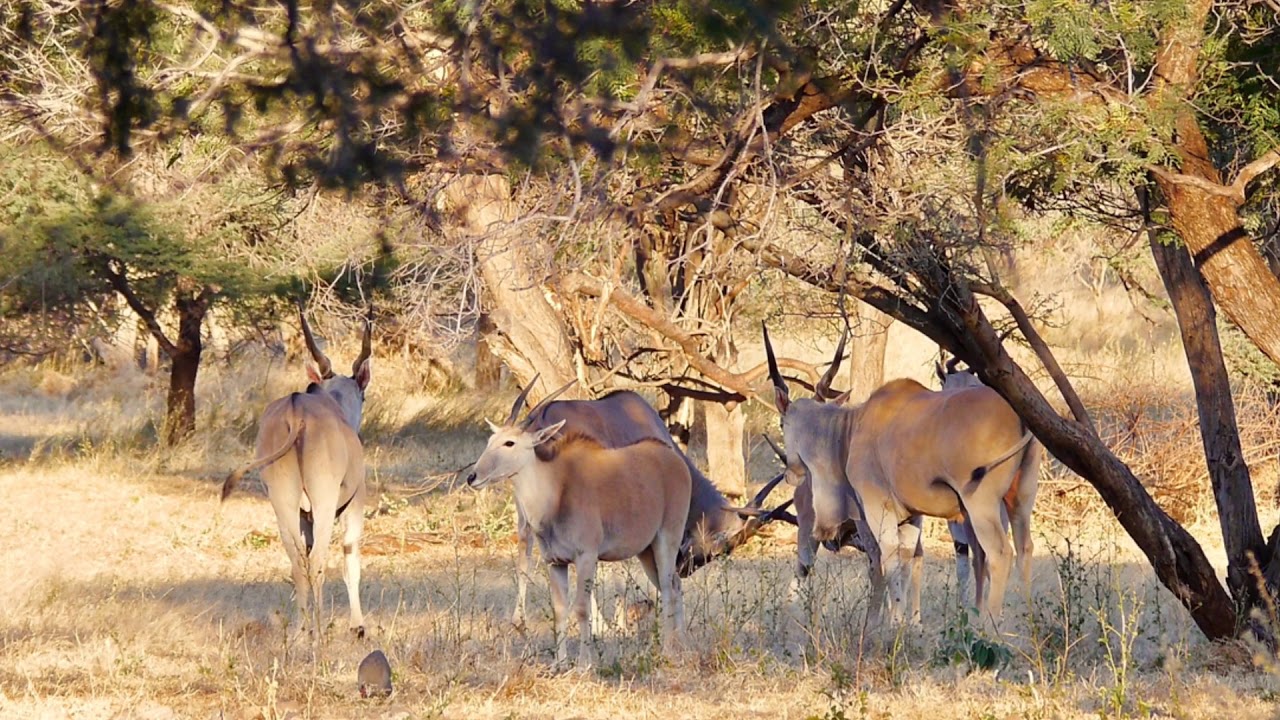 Otavi Mountains Namibia - YouTube