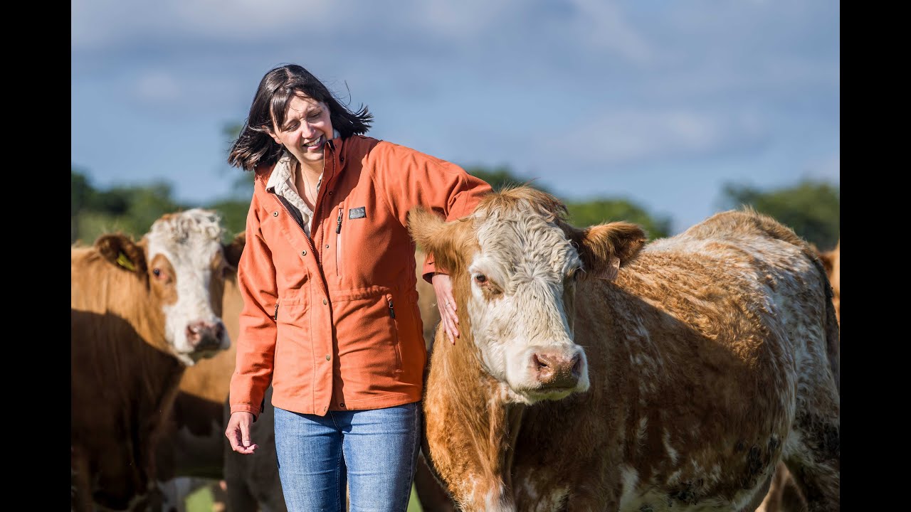 When you know, you know - Scotch Beef and Scotch Lamb TV Advert - YouTube