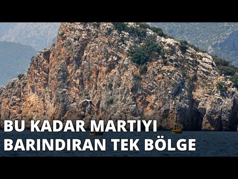 'Sıçan Adası, Martı Adası olsun' talebi