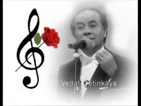 Vedat ÇETİNKAYA-Ne Zaman Geleceksin Bu Kaçıncı Bahar (NİHAVEND)R.G.