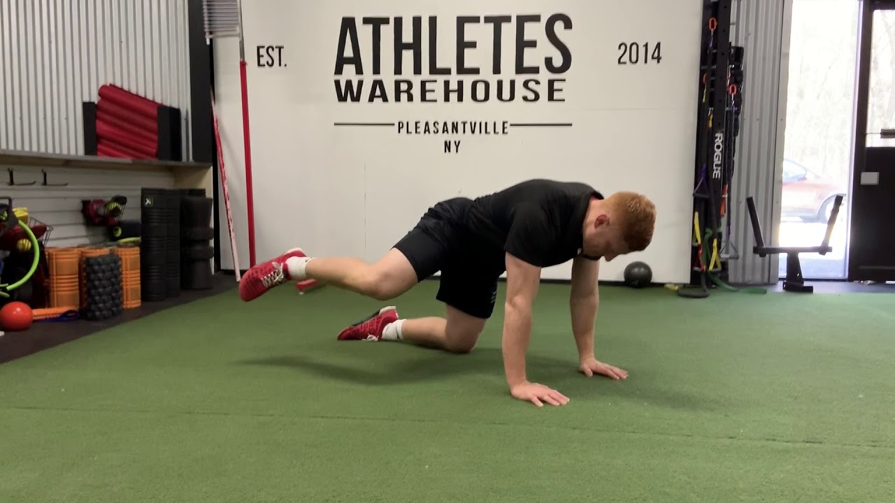 Quadruped Fire Hydrants - YouTube