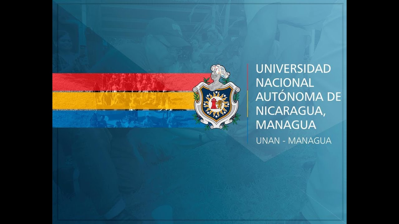 Tutorial - Uso de la Herramienta Canva - YouTube