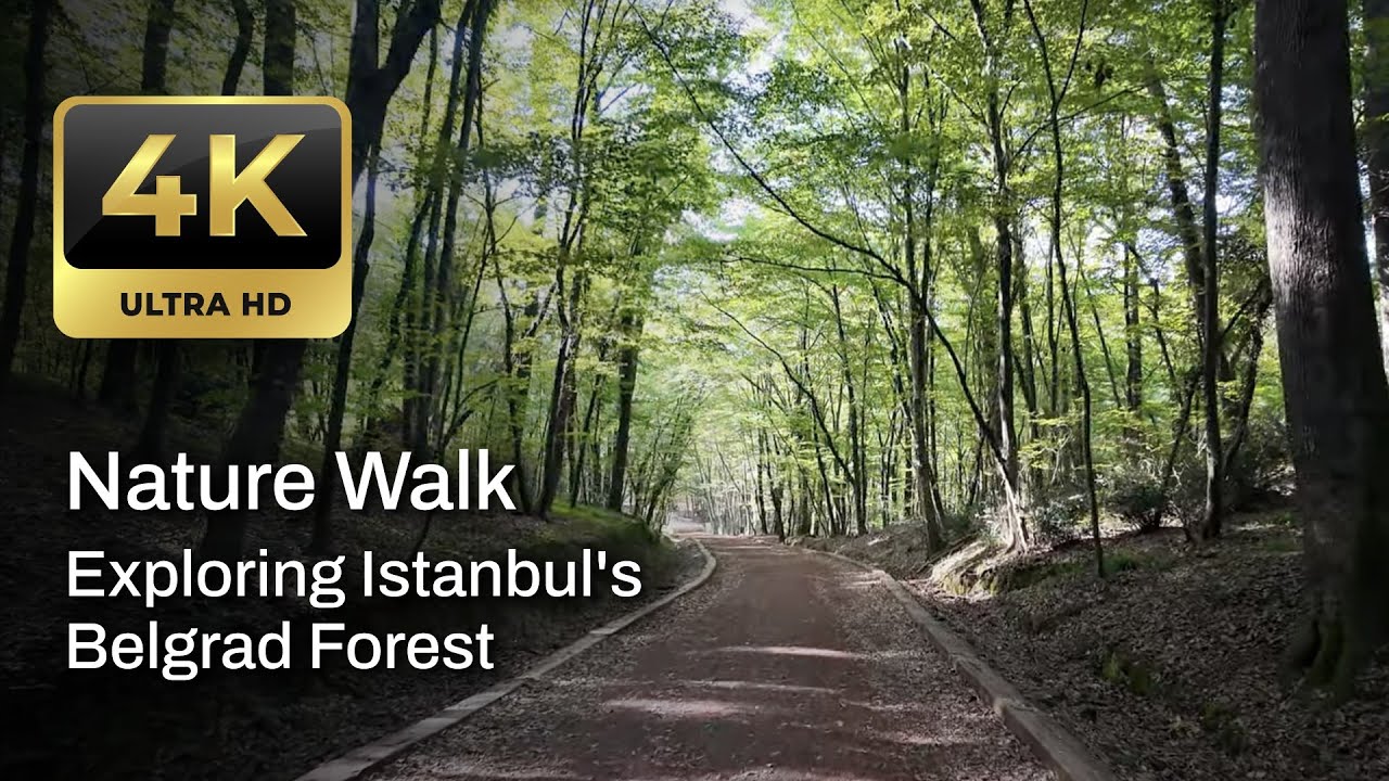 4K Nature Walk | Exploring Istanbul's Belgrad Forest | Peaceful Green ...
