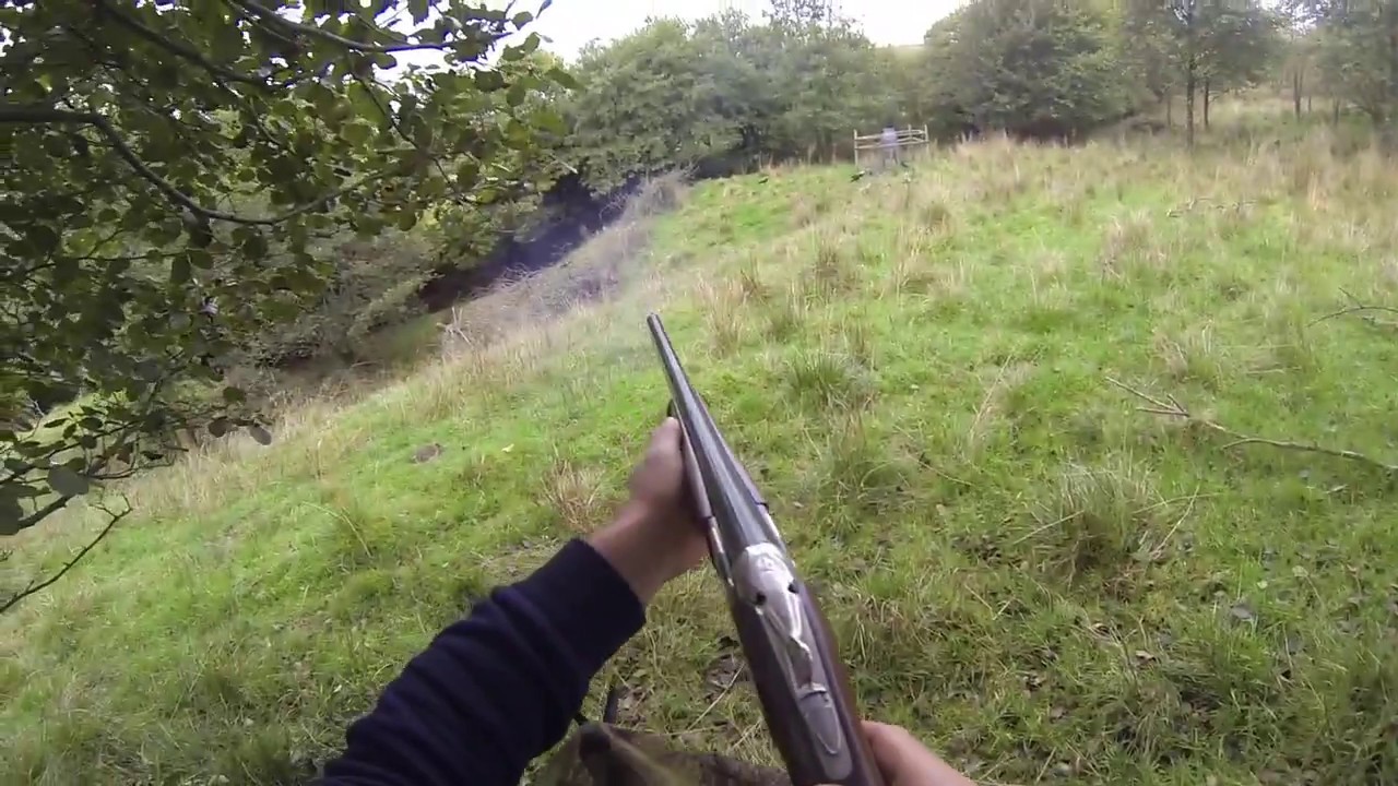 crow shooting part 1 - YouTube
