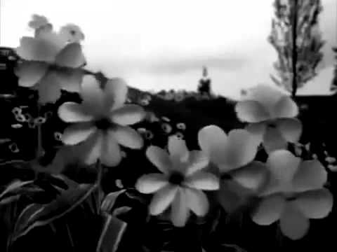 Prodigy Breathe Teletubbies