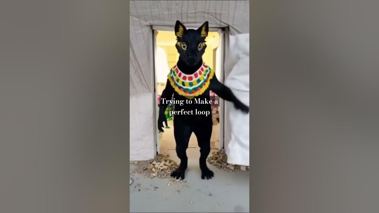 Trying to Make the perfect loop #loop #satisfyingloop #endlessloop #youtubeshorts - YouTube