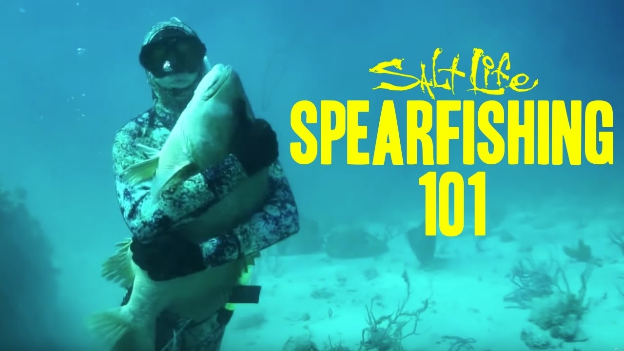 Spearfishing 101 | Salt Life - YouTube