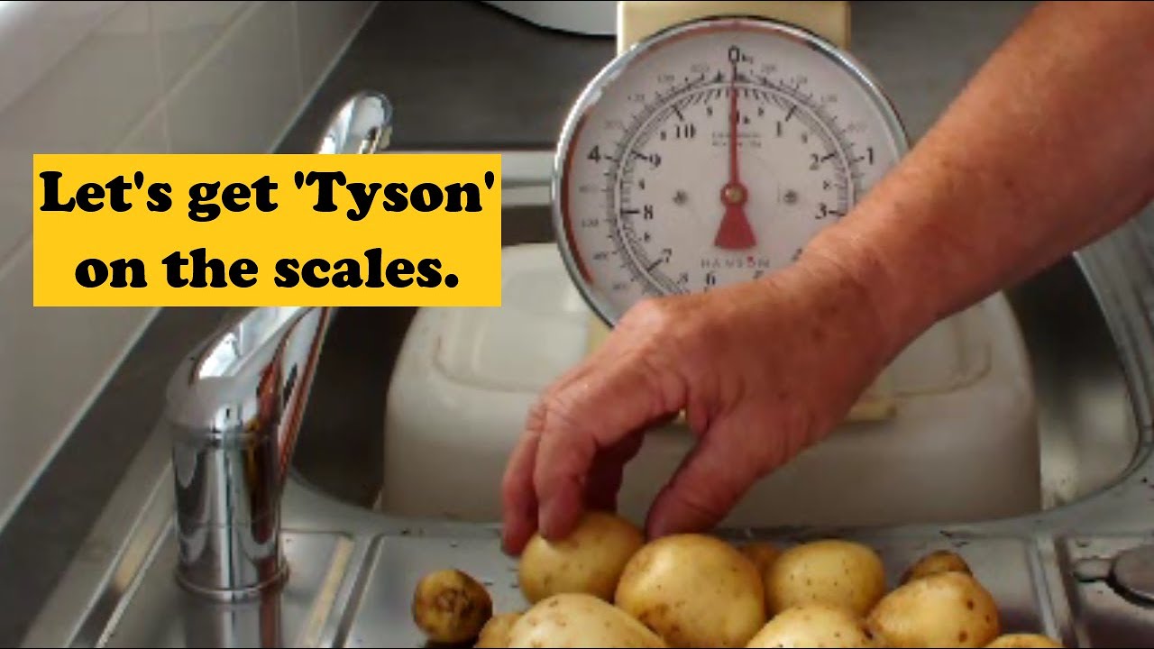 Grow Potatoes Let's get Tyson on the scales. Just 1 set aside shop ...