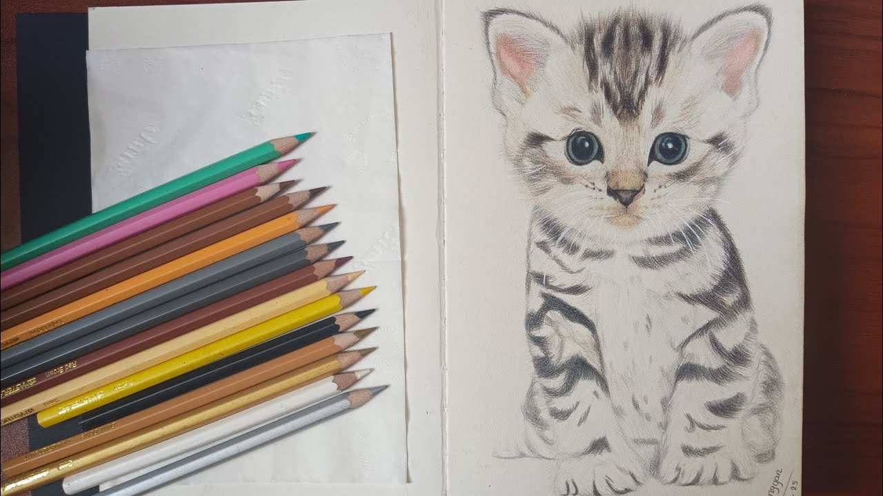 How to draw cute kitty 🐈 // step by step tutorial drawing - YouTube