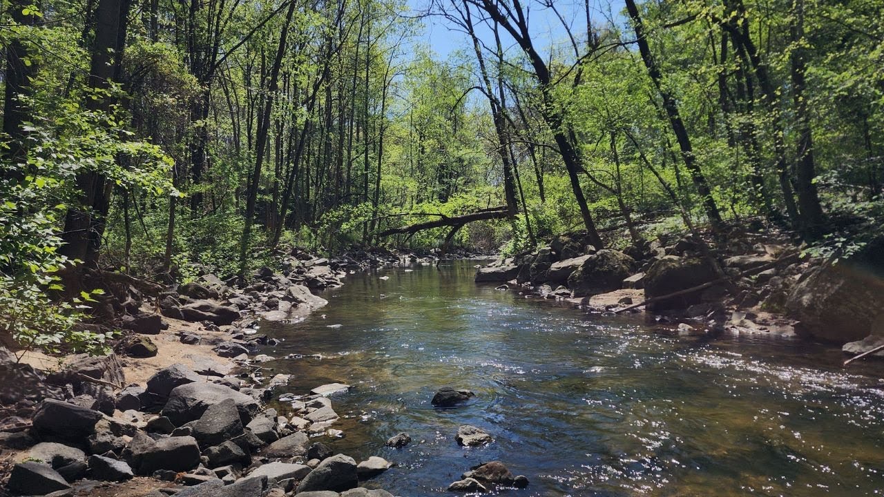 Sit by a calm river for an hour and relax - YouTube
