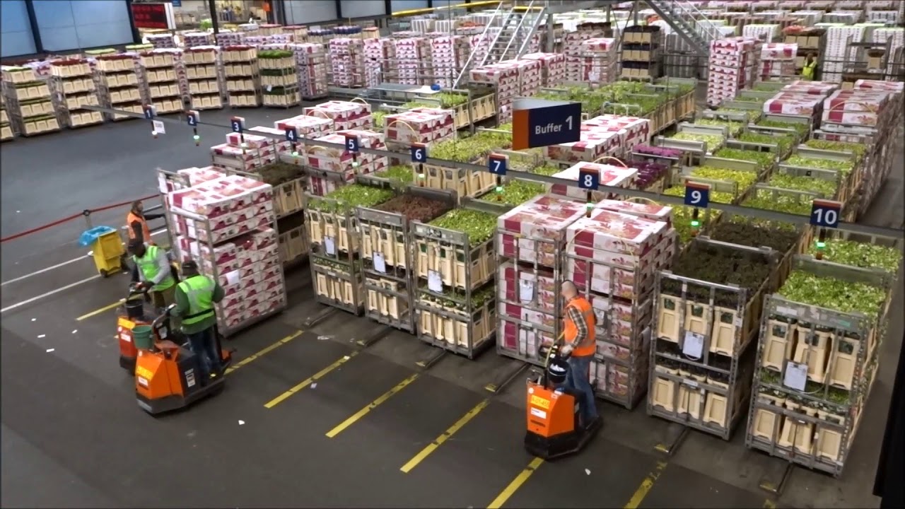 Royal FloraHolland - Amazing Market - YouTube