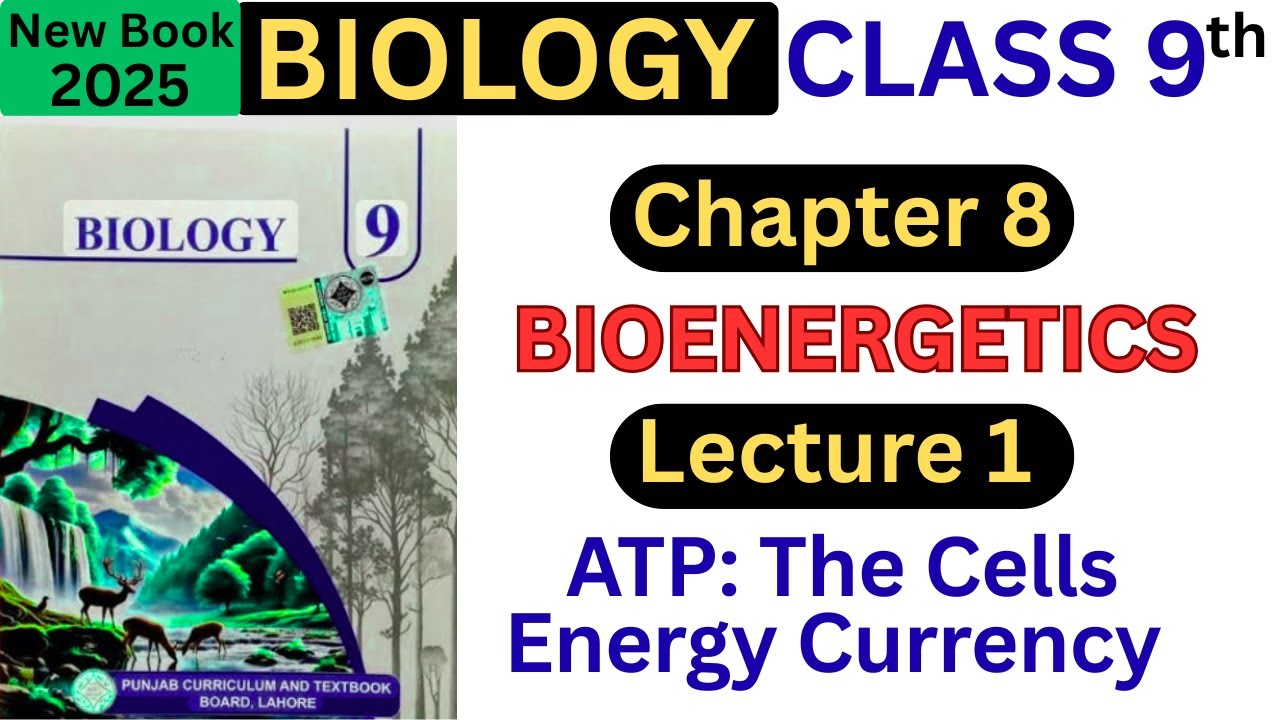 ATP: The Cell's Energy Currency | Chapter 8 Bioenergetics | Class 9 ...