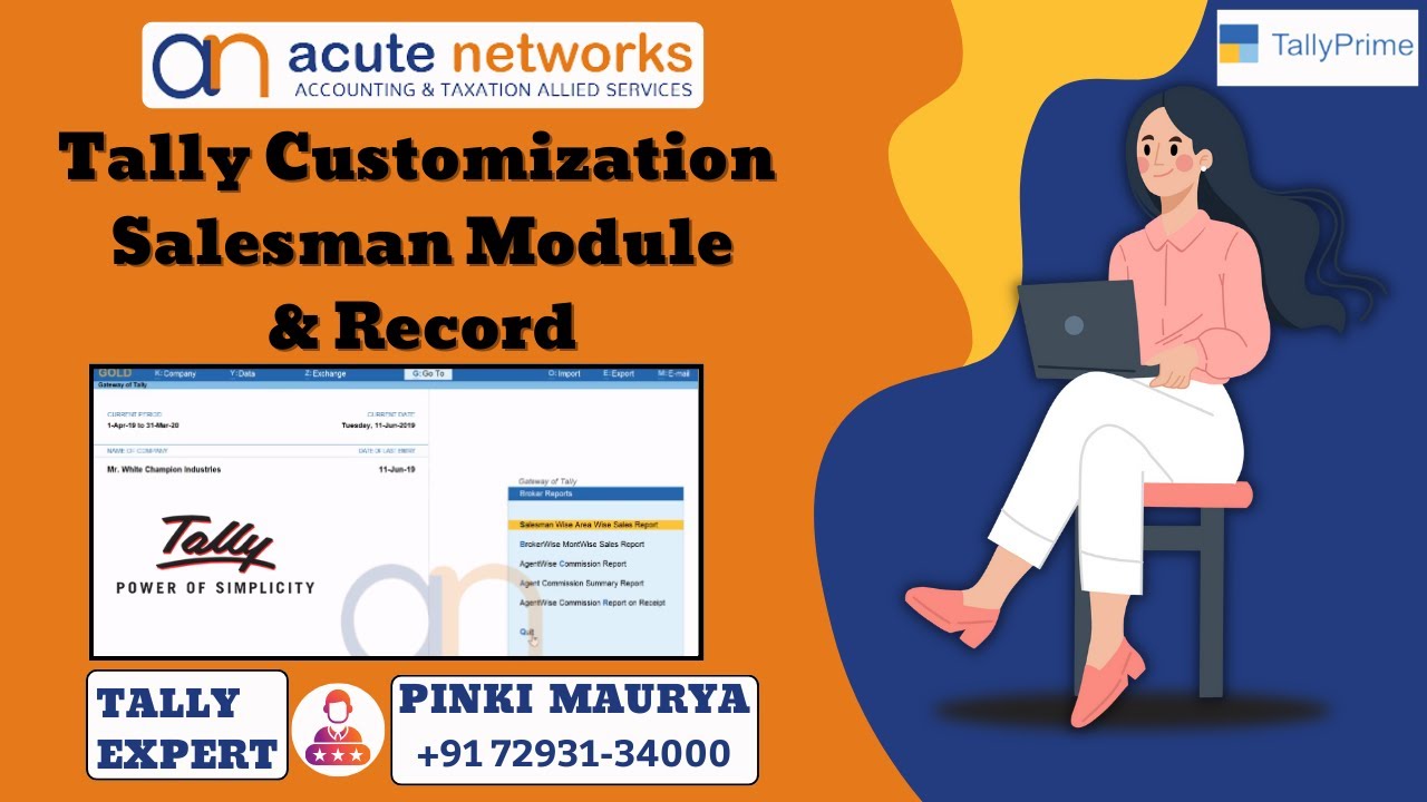 Tally Customization Salesman Module & Record | Tally Prime | Tally ERP9 ...
