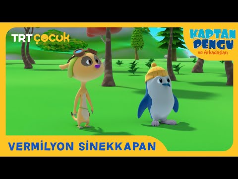 Kaptan Pengu ve Arkadaşları | vermilyon Sinekkapan