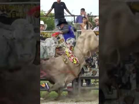 Toro G63 rancho el aguaje que torazo - YouTube