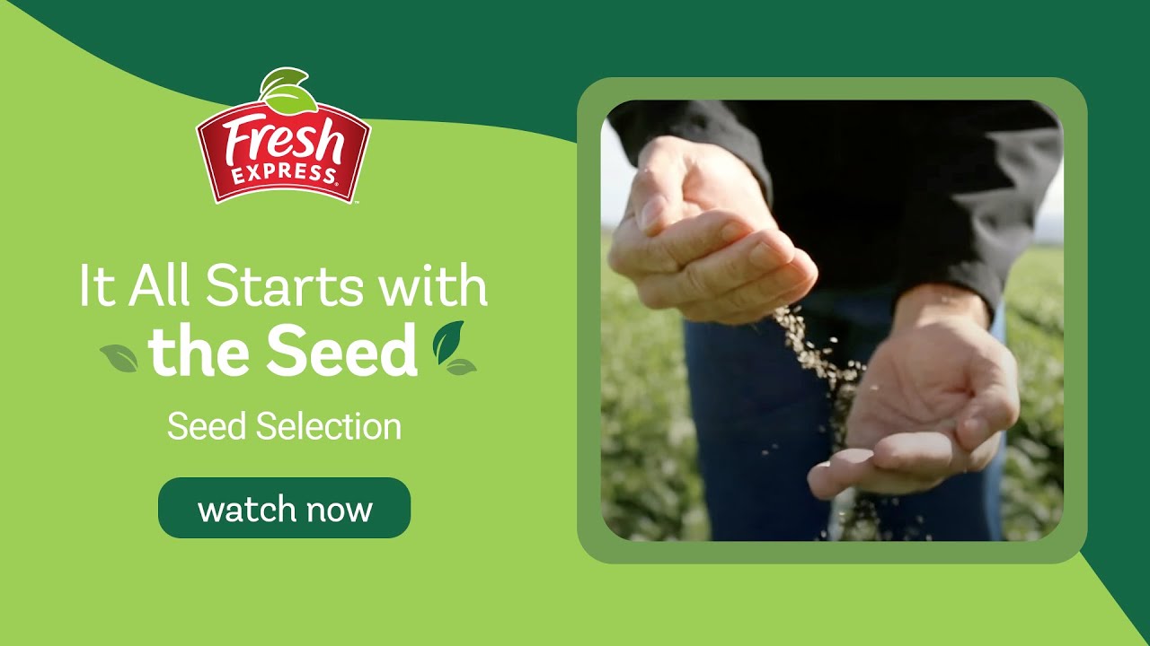 Fresh Express® Seed Selection: The Secret to Crispy, Flavorful Lettuce ...