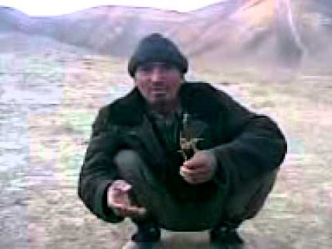 Urush barada