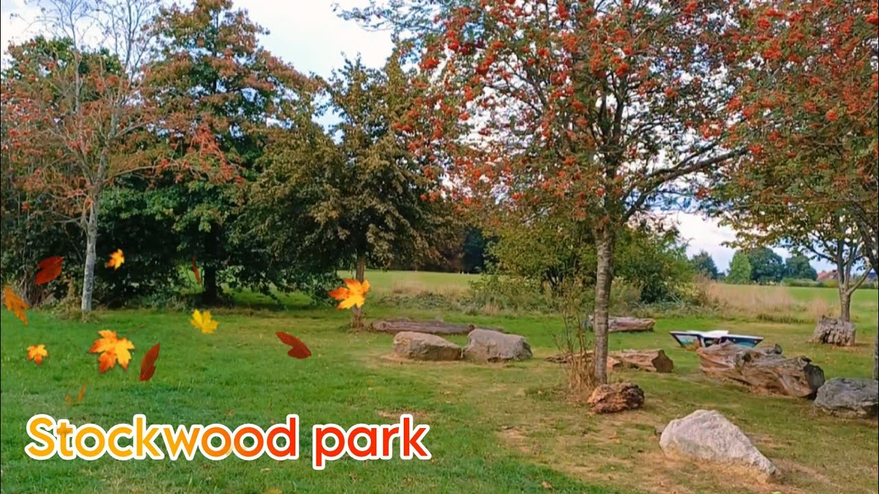 Stockwood park discovery centre in Luton 🏞️💚🌳 - YouTube